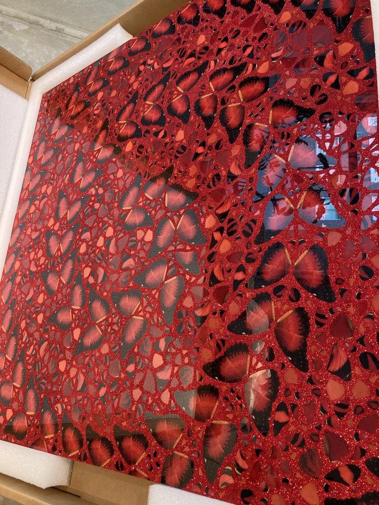 Taytu Betul (The Empresses シリーズより)Taytu Betul (From "The Empresses ...